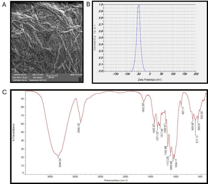 The Umbelliprenin-CTAB cellulose nanocrystal delivery system prevents ...