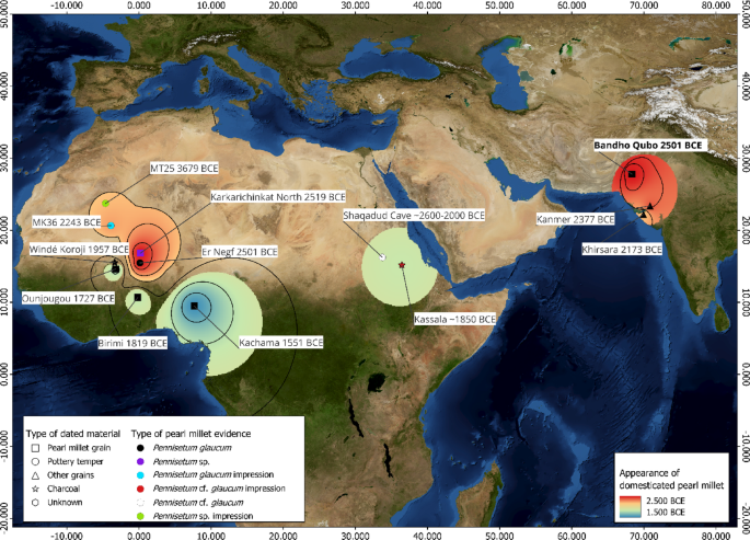 New evidence reveals dispersal of pearl millet from West Africa to ...