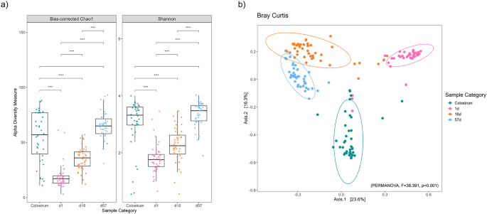 Exploring colostrum microbiota and its influence on early calf gut ...