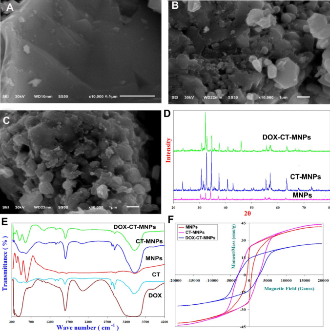 In vivo antitumor activity of doxorubicin loaded on chitosan functionalized Pb2Mn2Fe12O22 ...