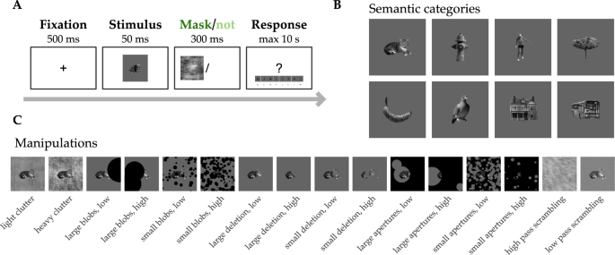 Recurrent issues with deep neural network models of visual recognition | Scientific Reports