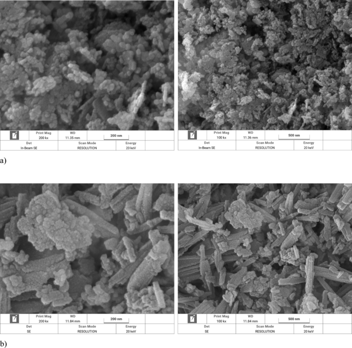 Quercetin-coated CuO–ZnO nanoparticles enhance post-thaw quality of ram ...