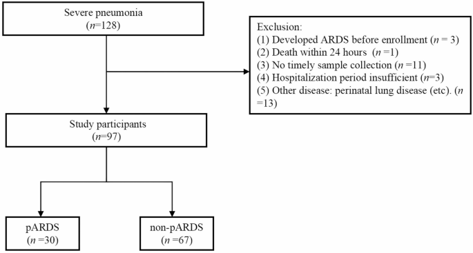 Risk assessment of pARDS in severe pneumonia patients based on lung ...