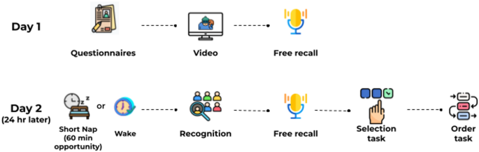 A nap before retrieval reduces false identifications in target absent ...