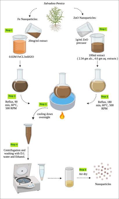 Secret elixirs of nature: extract type shapes the phytochemical ...