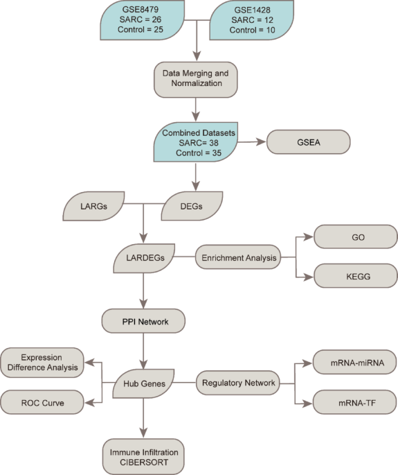 Integrated transcriptomic analysis identifies lysosomal autophagy ...