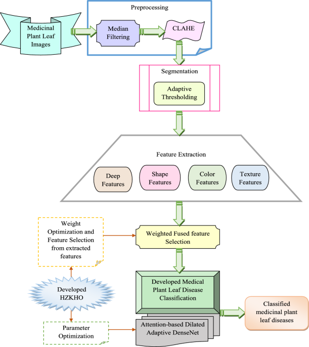 Medicinal plant leaf disease classification using optimal weighted features with dilated ...