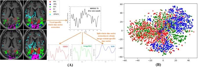 Image complexity-based fMRI-BOLD visual network categorization across ...