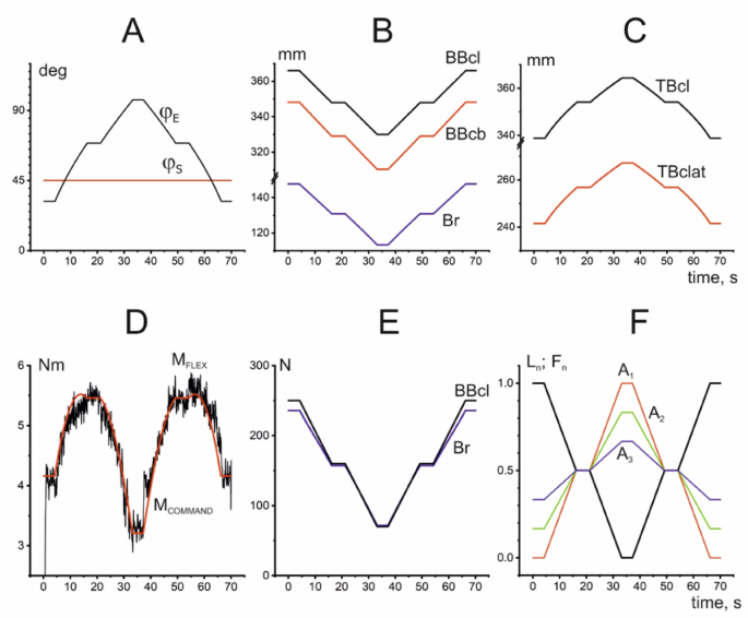 EMG hysteresis patterns in human elbow muscles under simultaneous force ...