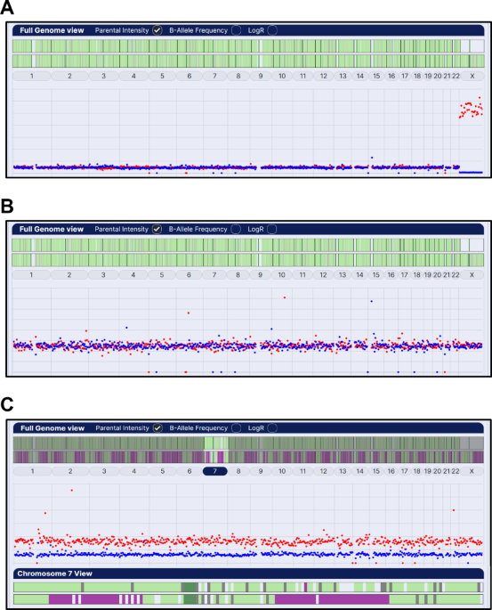 Combined SNP parental haplotyping and intensity analysis identifies ...