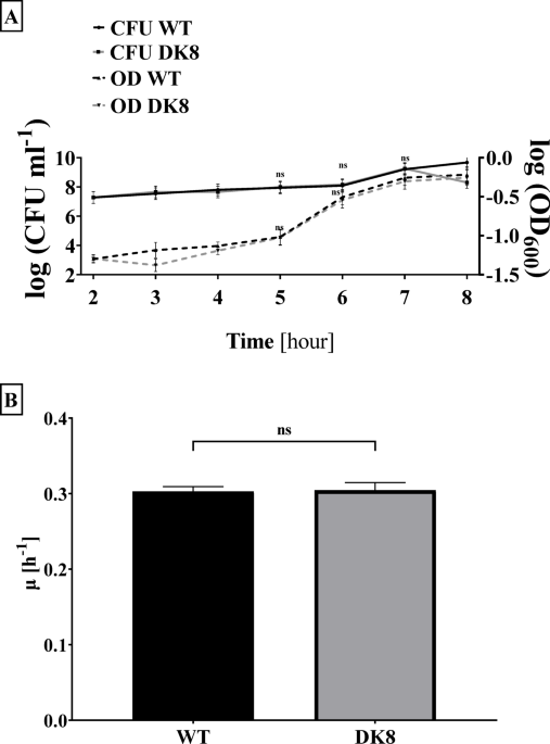 FOF1-ATPase mediates regulation of fermentation and energy metabolism ...