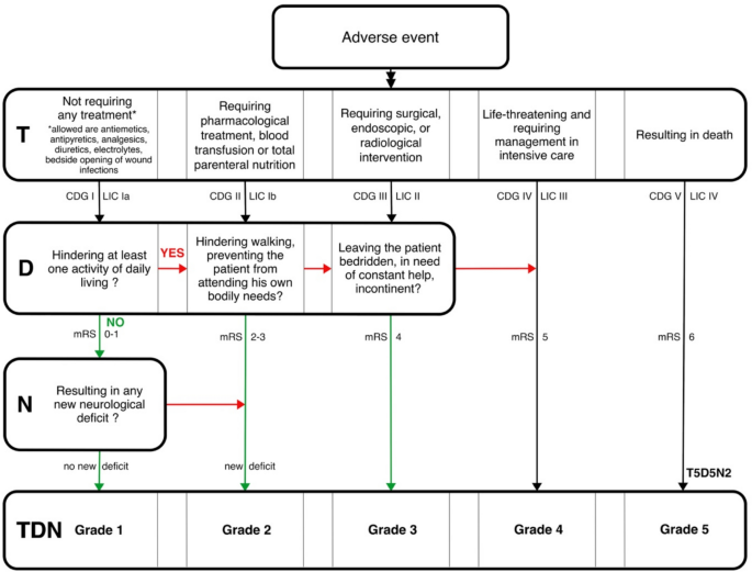 International survey-based assessment of the reliability, validity, and ...