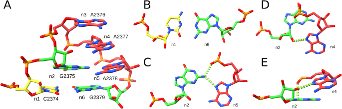 Exploring GNRA tetraloop-like motifs in nucleic acid 3D structures ...