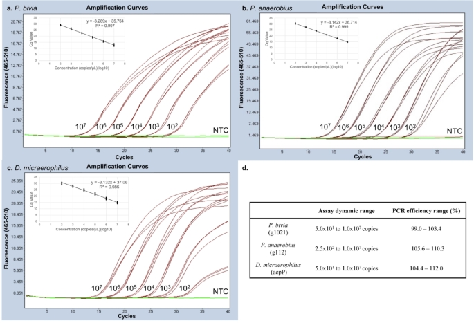 Real-time PCR assay design and validation for Prevotella bivia ...