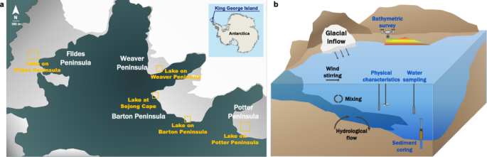 Environmental gradients shape microbial community structure and ...