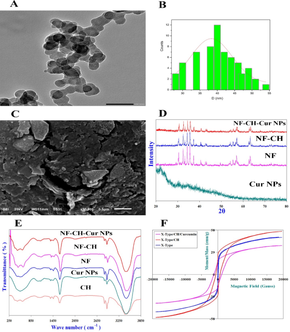 Ferrite chitosan curcumin nanoparticles alleviate nandrolone decanote ...