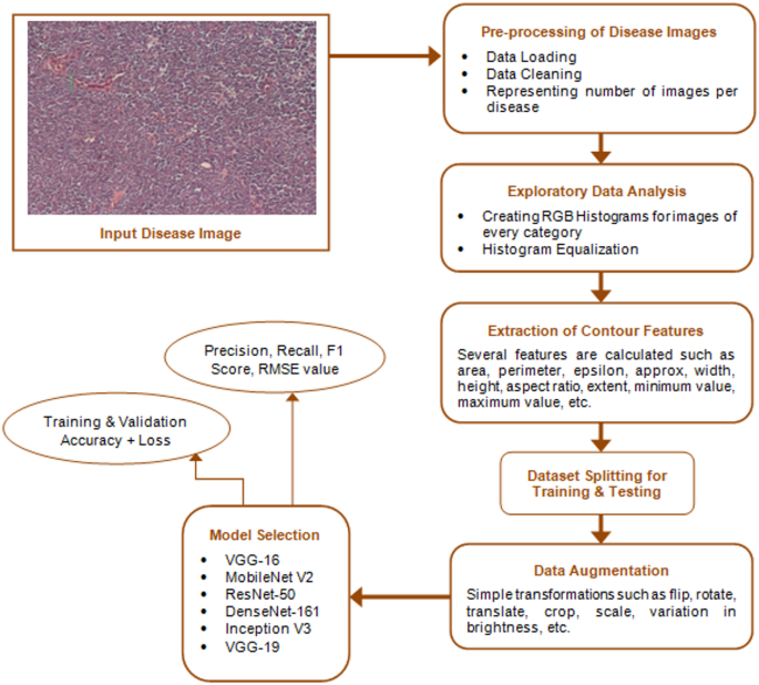 Enhancing lymphoma cancer detection using deep transfer learning on ...