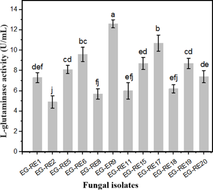 Purification and biochemical characterization of l-glutaminase from ...