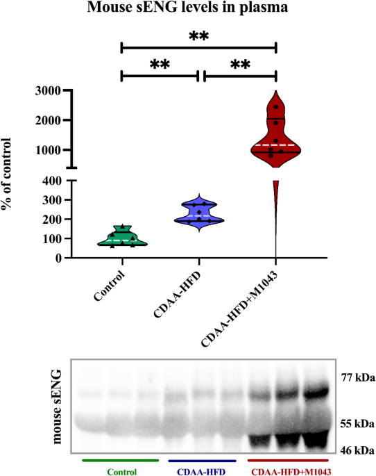Cost-effective method for semi-quantitative analysis of soluble ...
