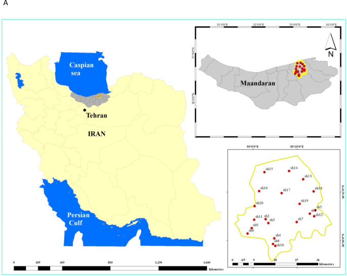 Risk assessment of heavy metals in north of Iran (Sari) rice and ...