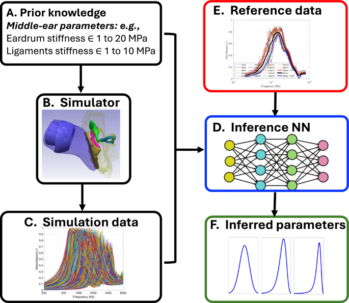 Simulation-based inference for subject-specific tuning of middle ear ...