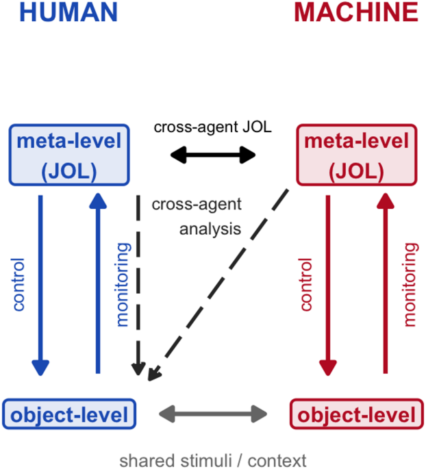 Judgments of learning distinguish humans from large language models in predicting memory ...
