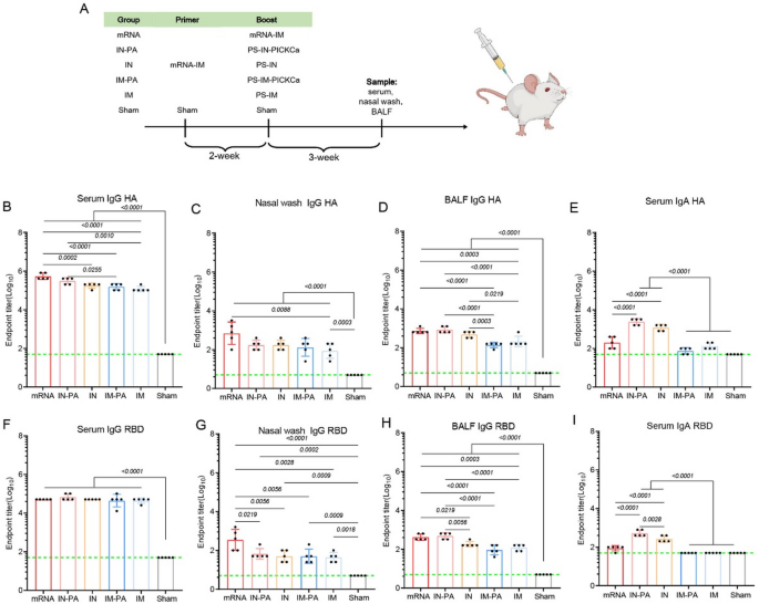 Heterologous sequential immunization using chimeric mRNA and protein ...
