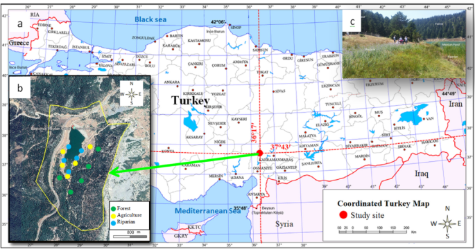Soil respiration, microbial biomass, and stoichiometry within riparian ...