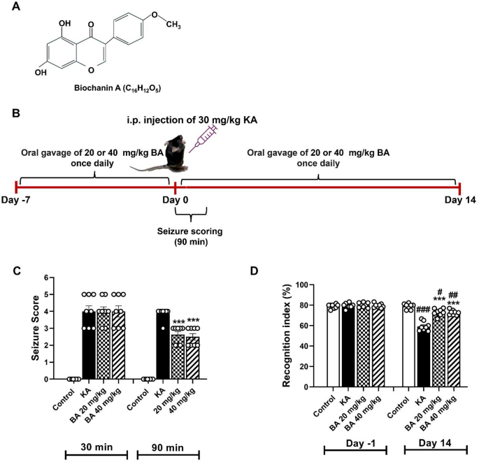 Biochanin A prevents neurodegeneration and oxidative stress in a kainic ...