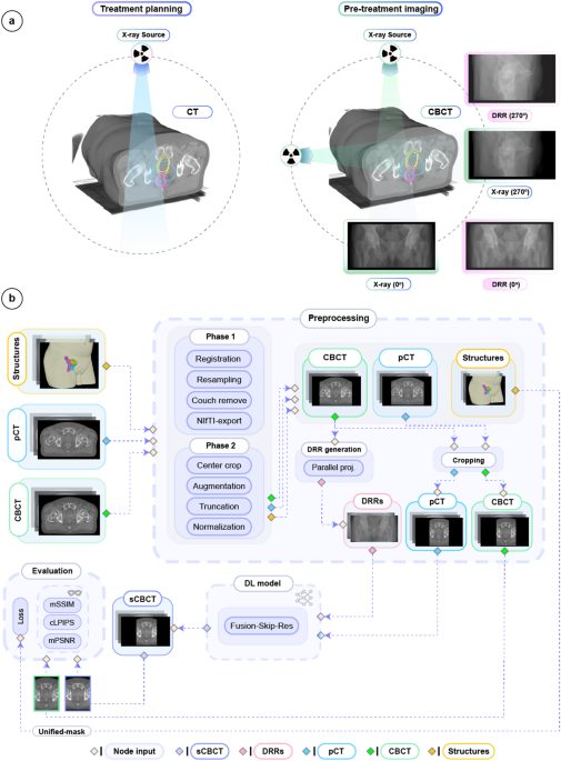 Anatomically informed deep learning framework for generating fast, low-dose synthetic CBCT for ...