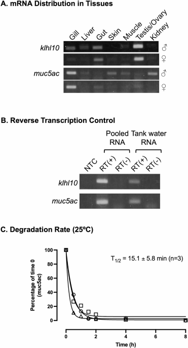 The use of environmental RNA for inferring fish spawning behavior ...