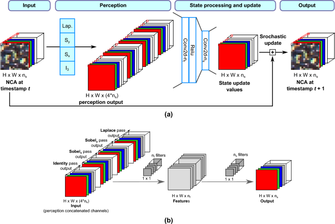Multi-texture synthesis through signal responsive neural cellular ...