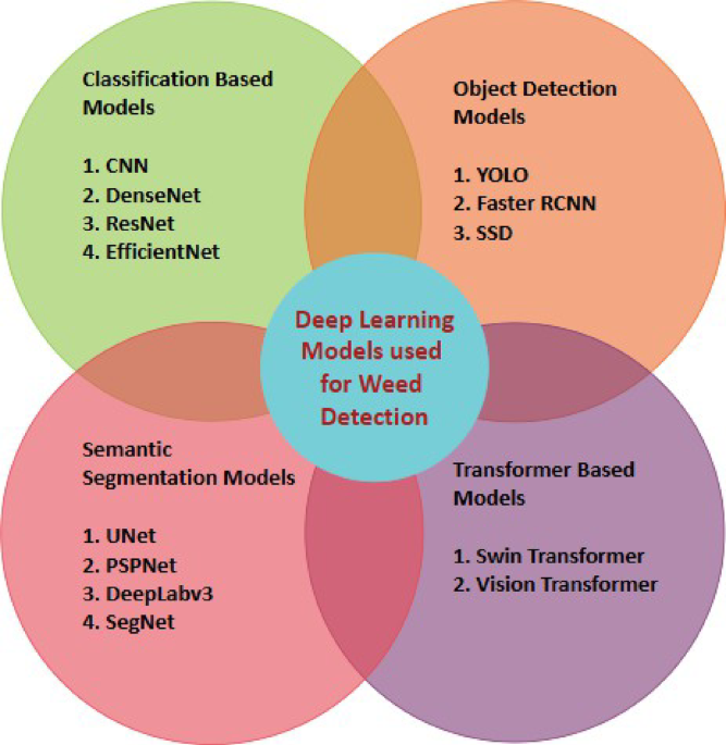 Deep learning approach for crop-weed segmentation in peanut cultivation using PSPEdgeWeedNet ...