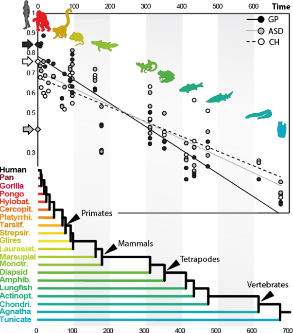 Influence of phylogenetic proximity on children’s empathy towards other ...