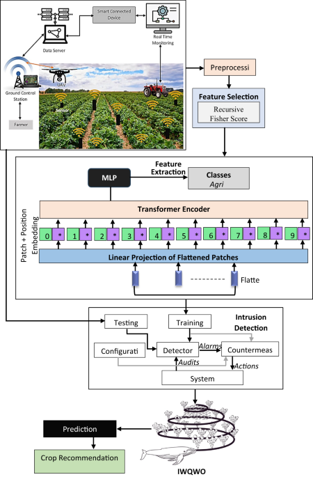 Improved Weighted Quantum Whale Optimization with vision transformer ...