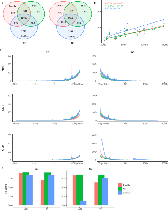 Comprehensive detection of structural variations in long and short ...