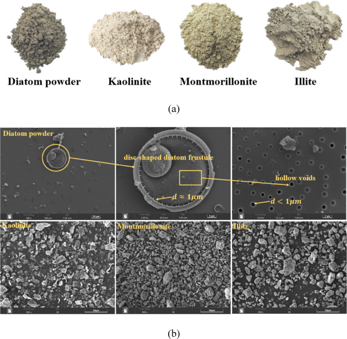 An experimental exploration on the creep behaviour of fine-grained ...