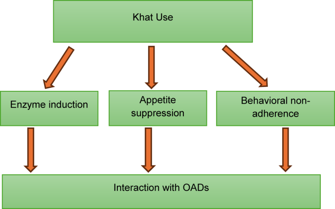Pharmacological risks of khat–oral antidiabetic drug interactions among ...