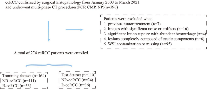 Multimodal deep learning framework integrating multiphase CT and histopathological whole slide ...