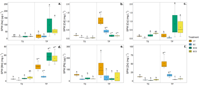 AMOchar: an amorphous MnOx functionalized biochar to stabilize metal ...