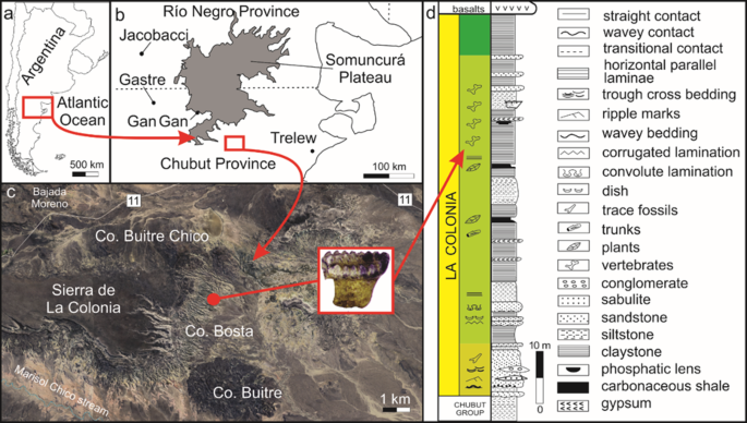 First unambiguous evidence of Multituberculata from the Late Cretaceous ...