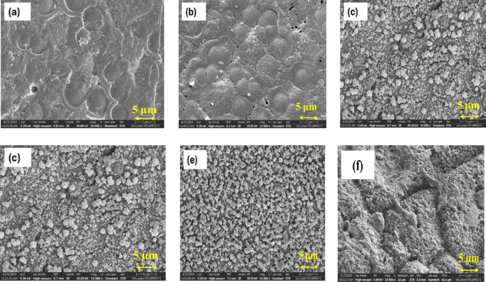 Graphene oxide-iron oxide based thin film nanocomposite membrane for ...