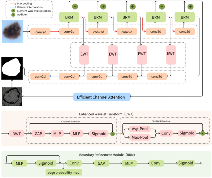 WA-NET: enhanced boundary-aware segmentation of skin lesions via ...
