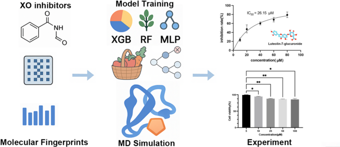 Machine-learning and simulation identify food-derived xanthine oxidase ...