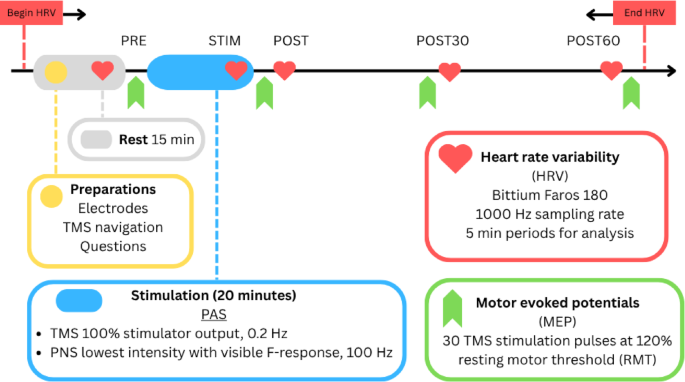 Heart rate variability in patients with incomplete spinal cord injury ...