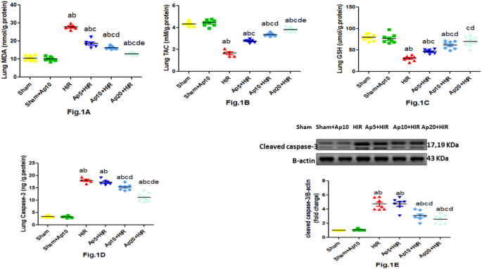 Aprepitant alleviates acute lung injury in a rat model of hepatic ...