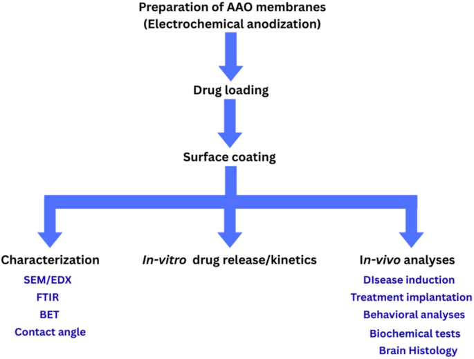 Modulation of experimental Alzheimer’s disease in rats through ...
