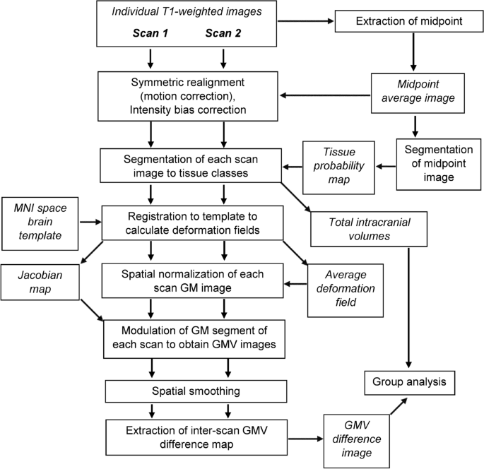 Grey matter volume reduction and its association with brain-enriched ...