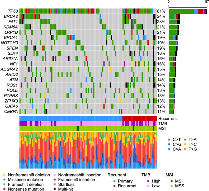 Genomic alterations linked to recurrence risk in high-grade serous ...