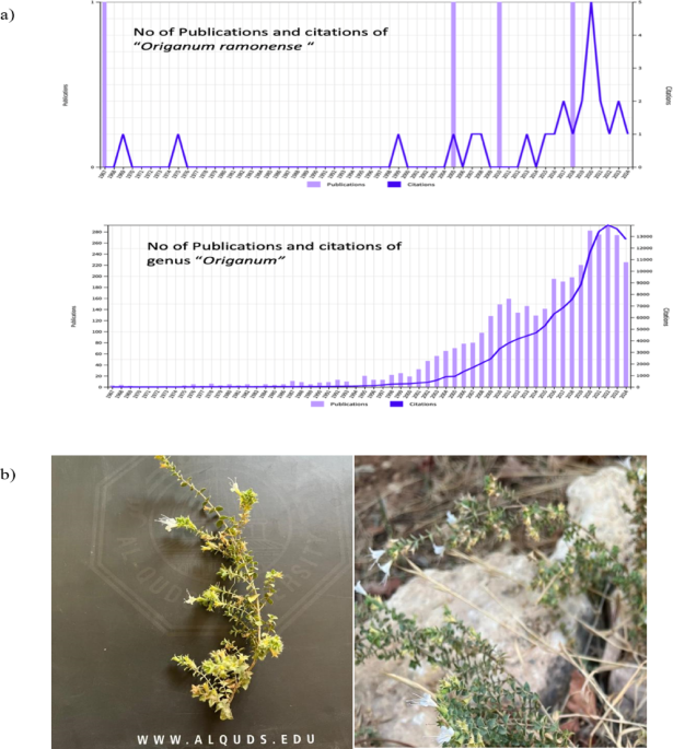 NMR and GC-MS based metabolic profiling, total phenolic content ...